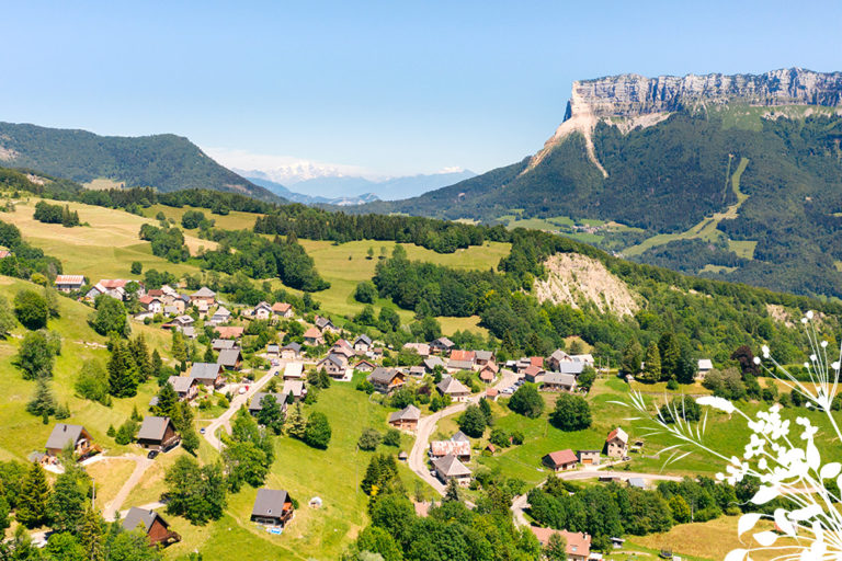 Ici en Chartreuse - La Chartreuse, un terroir d’exception | Ici en ...